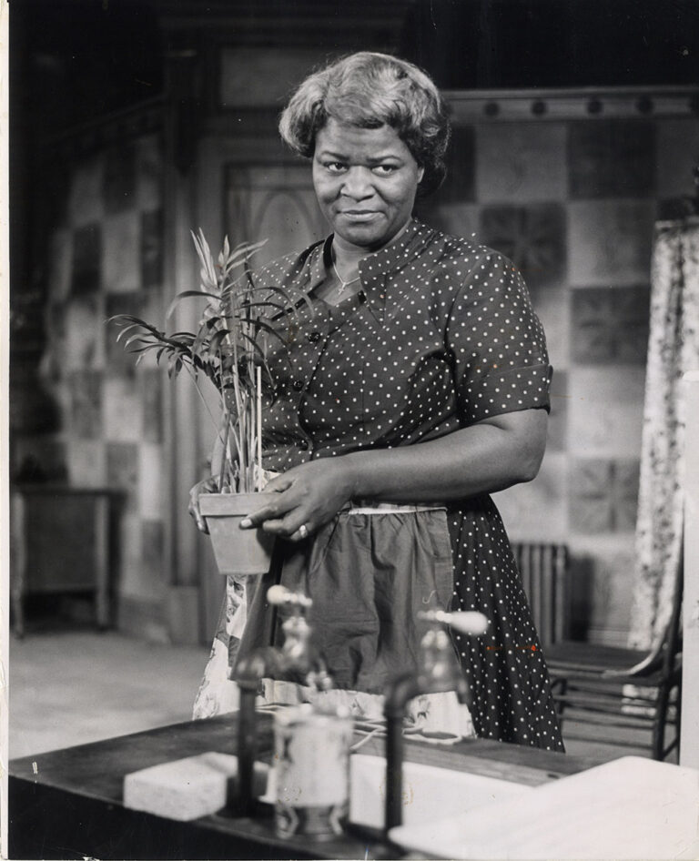 Lorraine Hansberry (playwright) A RAISIN IN THE SUN (1960) Set of 2 ...
